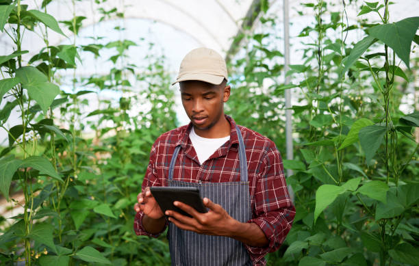 - Demand Technology Solutions LTD